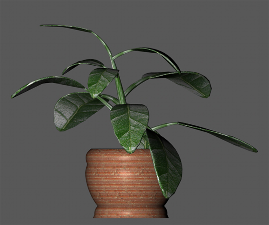 Ficus House Plant Prop - Poser World 3D Figure Club